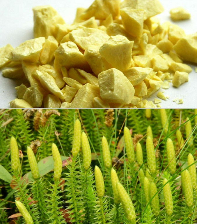 A Comparison Of Two Anti-Psoric Remedies | eMedicineHub