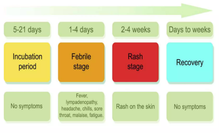 Understanding Mpox (Monkeypox): Causes, Transmission, Stages ...